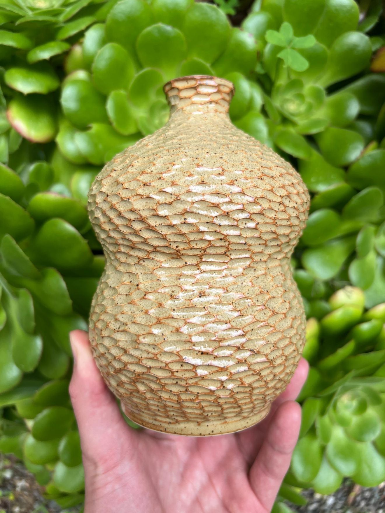 Alex Beck Ceramics - Handmade In San Francisco